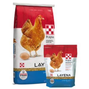 Layena Pellets from Purina - Cherokee Feed & Seed