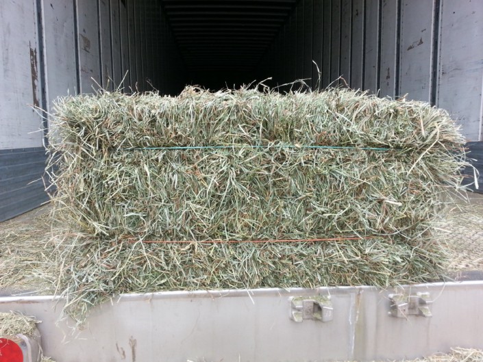 Kentucky Timothy square hay bale at Cherokee Feed & Seed Ball Ground ...