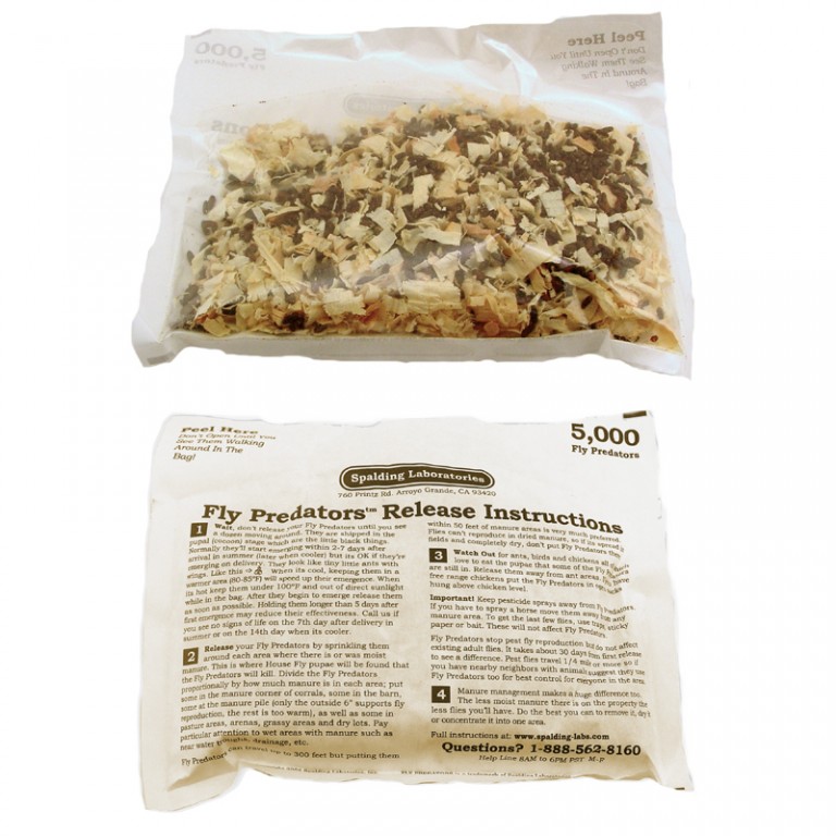 Spalding Fly Predators Available at Cherokee Feed and Seed