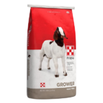 Purina Goat Grower 16 50-lb - Cherokee Feed & Seed