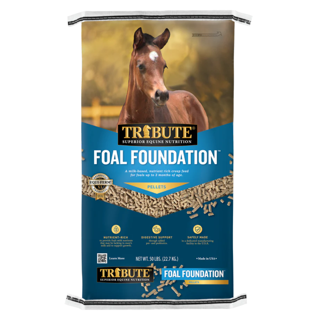 Foal Foundation | Tribtue Equine Feed | Cherokee Feed & Seed