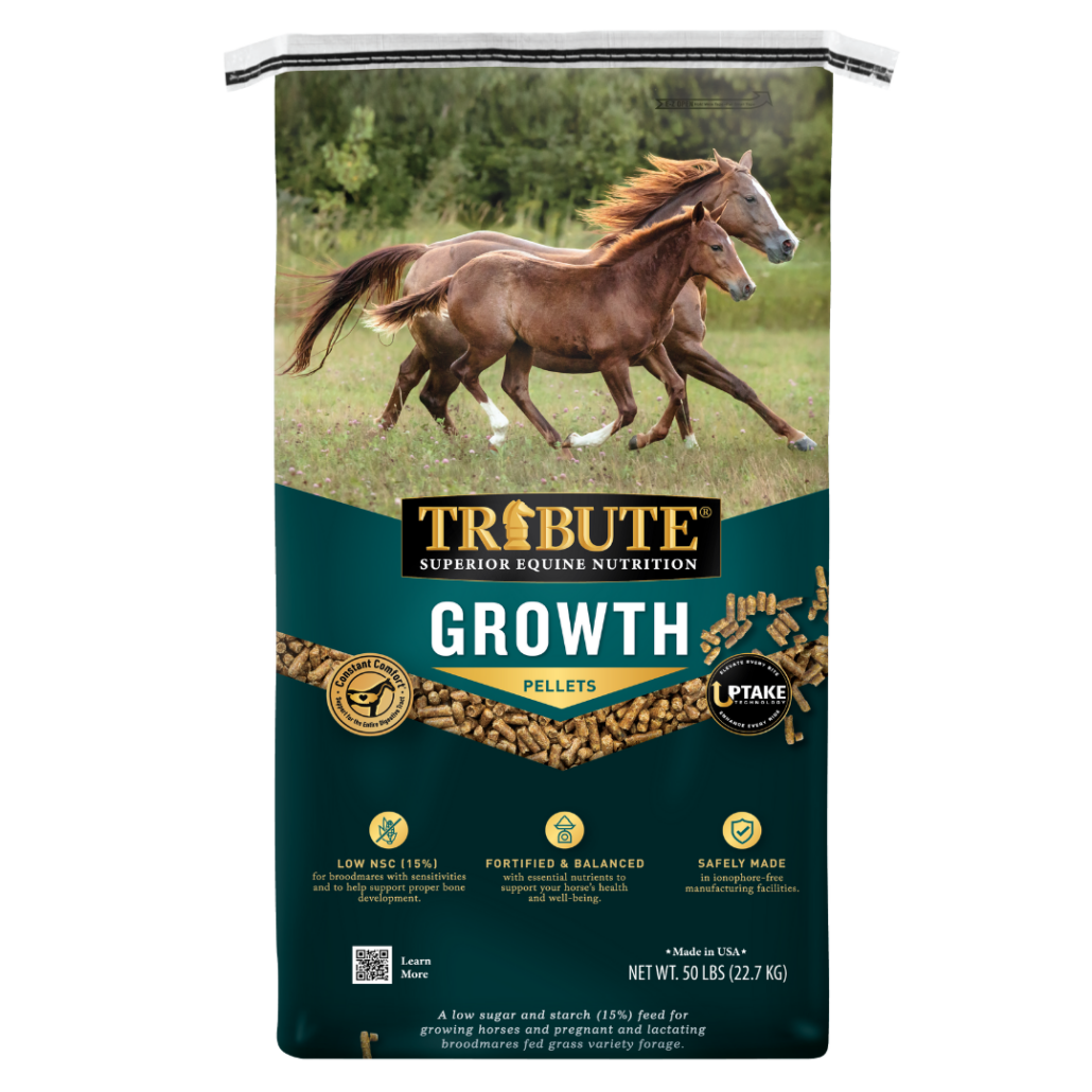 Growth Pellet | Tribute Equine Feed | Cherokee Feed & Seed