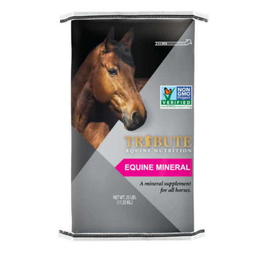 Equine 12-8 Mineral | Tribute Equine Feed | Cherokee Feed & Seed