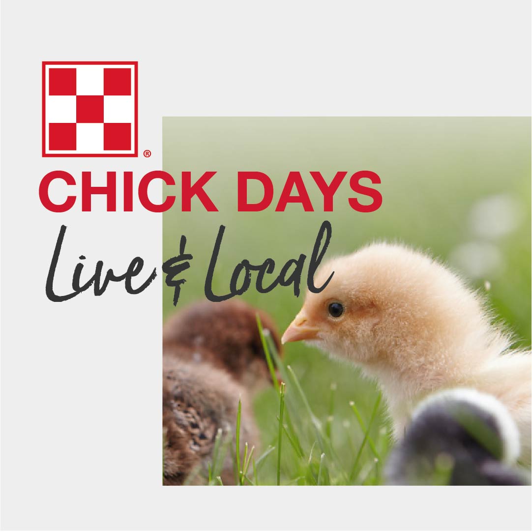 Flock Talk Facebook Live Playback - Cherokee Feed & Seed