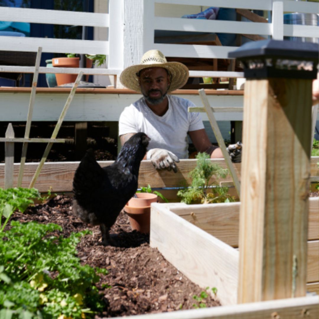 Adding a Vegetable Garden to Your Hobby Farm - Cherokee Feed & Seed
