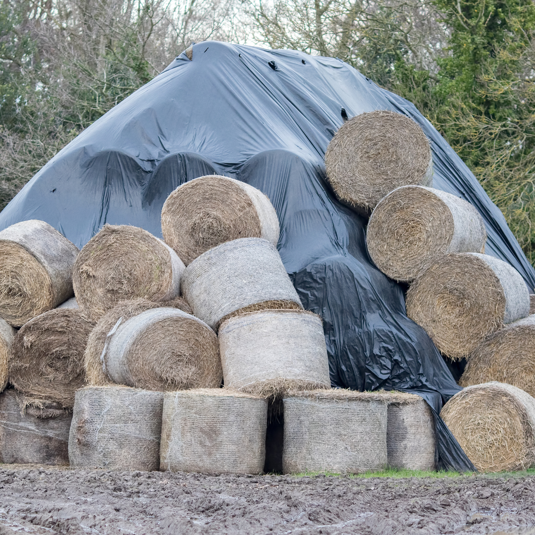 hay-wet-weather - Cherokee Feed & Seed